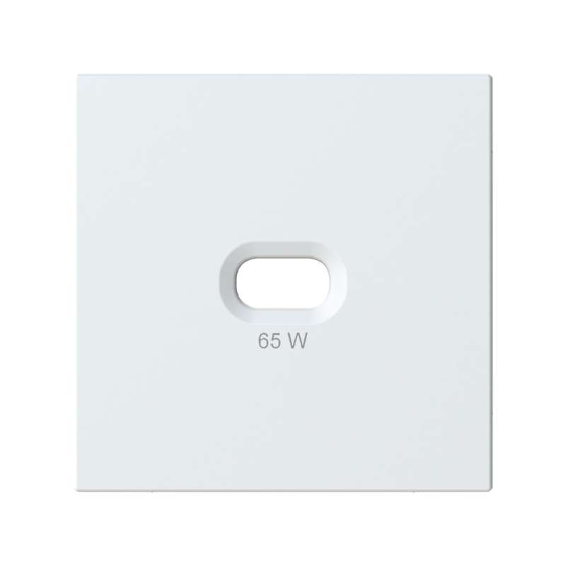 OPUS 55 Mat polarwit afdekplaat voor USB C wandcontactdoos 65W